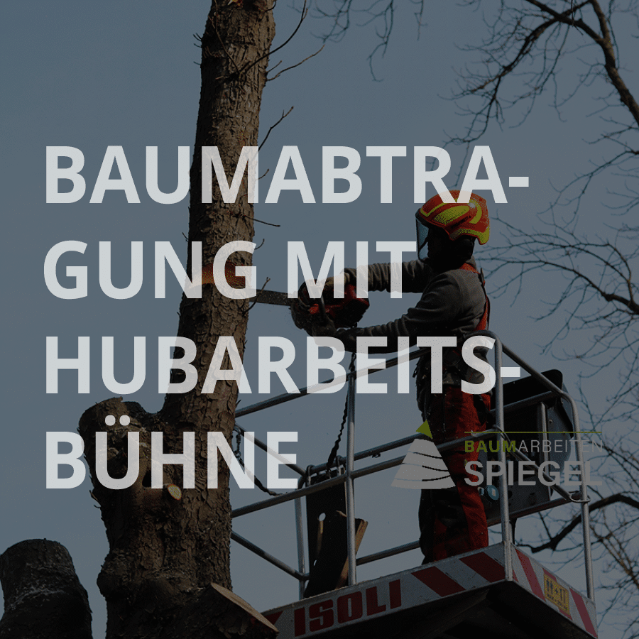 Baumabtragung mit Hubarbeitsbühne - Griehser.at